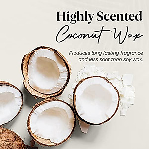 MISO Living - Relax Scented Candles, Aromatherapy Candle, Wood Wicked Candles With 55+ Burn Time, Vanilla, 8.5 Oz