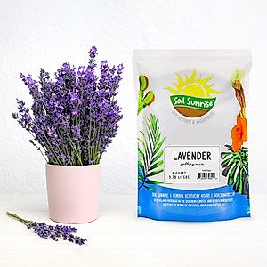 Lavender Potting Soil Mix (4 Quarts), Indoor/Outdoor Container Gardening Blend for Lavender Herb Plants
