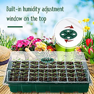 10 Pcs Seed Starter Tray 40 Cells Seed Starter Kit with Humidity Dome and Base Propagation Tray Plant Germination Greenhouse Mini Propagator Station for Seeds Growing, Total 400 Cells(Green,10 Pcs)