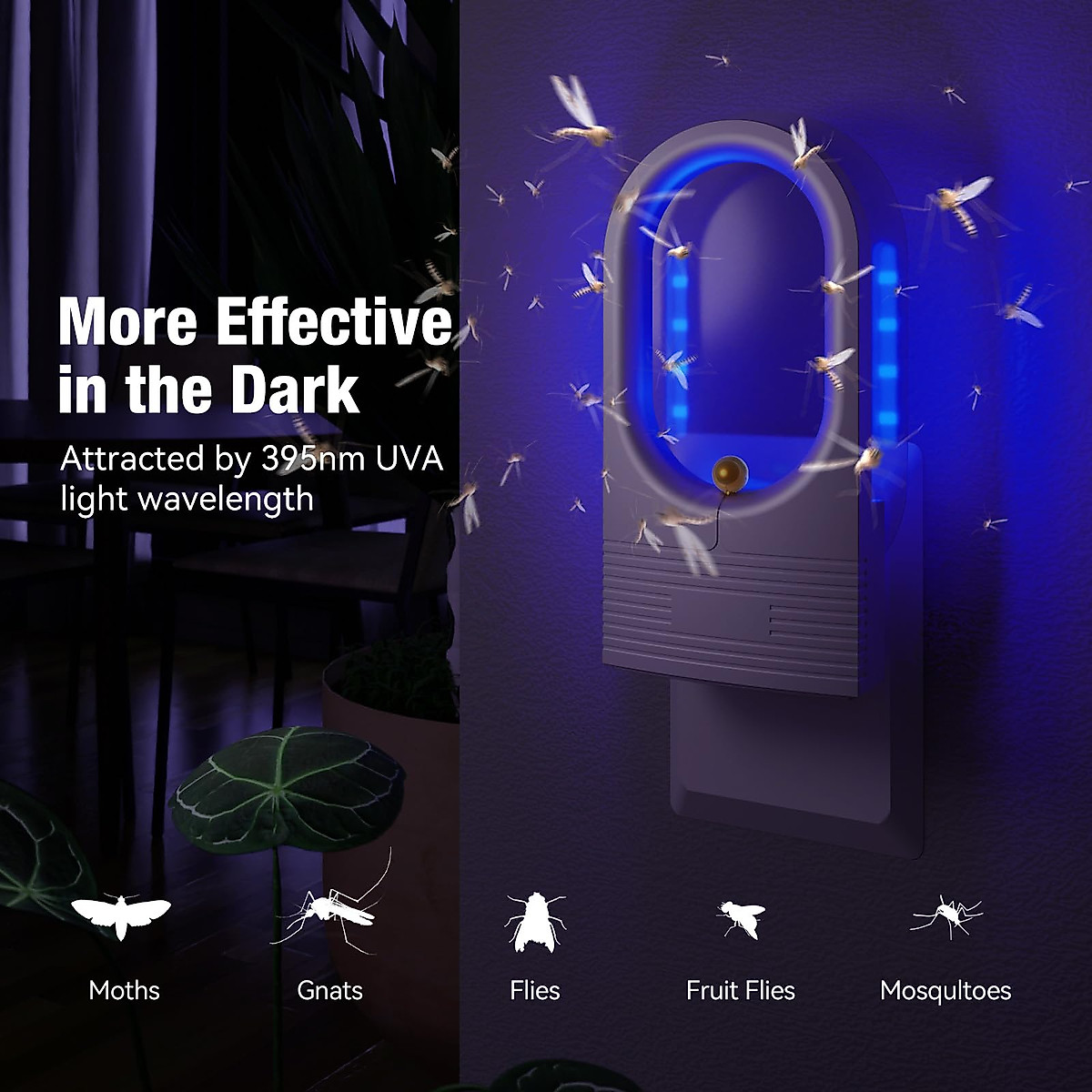 Fruit Fly Traps for Indoors, Plug in Fly Trap Indoor Bug Catcher with Double Sided Glue Card, Flying Insect Trap Gnat Traps for Mosquito, Flies, Fruit Flies, Moths, Gnats (1 Device + 5 Refills)