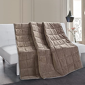 Thesis Home Weighted Blanket with Premium Glass Beads for Kids and Adults - 100% Brushed Microfiber Plush Reversible Sherpa Calming Blanket - 10 lbs - 50 X 60, Taupe