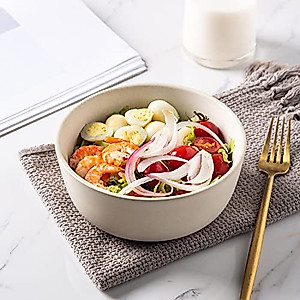 AmorArc Stoneware Cereal Bowls Set of 4, 26oz Soup Bowls Set for Cereal Soup Snacks, Modern Kitchen bowls for Meal, Dishwasher &Microwave Safe, Matte Ivory