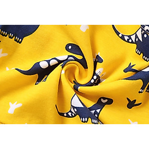 Jeinxcn Toddler Baby Girl Dinosaur Party Dress Summer Holiday Dress Outfit Clothes 4T