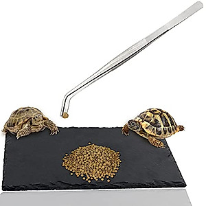 Linifar Turtle Basking Rock Tortoise Bathing Plate Reptile Platform Dish Habitat Accessories Supplies for Gekko Bearded Dragon Squirrel Hedgehog