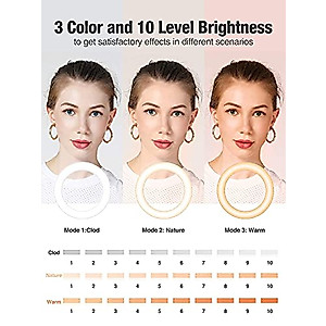 elitehood 8’’ Ring Light for Computer & Video Conference Lighting Kit, Desk LED Circle Light with Stand & Phone Holder for Zoom Call Lighting, Webcam Camera Meeting, Office Laptop Video Conferencing