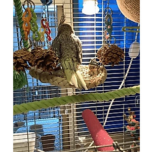 Bird Stand Perch U Shape Bird Perch Stand Toy,Hemp Rope Material Parrot Stand Platform Accessories Exercise Toys for Birds and Parrots Natural Bird Cage Toys Supplies for Small Medium Birds