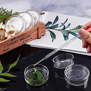 OLYCRAFT 6PCS Glass Petri Dishes High Borosilicate Glass Bacterial Culture Dishes with Lid 60mm Dia x 18mm Deep with 2pcs Glass Culture Plate for Laboratory School Science Project