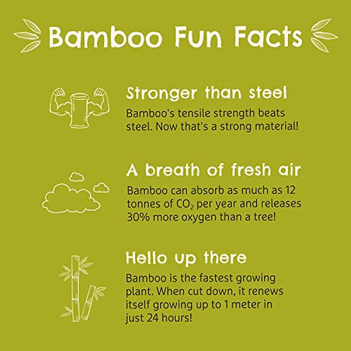 Munchkin® Bambou™ Divided Suction Plate - Eco-Friendly Bamboo Dinnerware for Babies and Toddlers