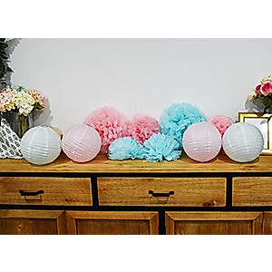 Twinkle Twinkle Little Star Gender Reveal Party Supplies Baby Shower Decorations Baby Blue Pink Paper Lanterns Pink Blue Gold Star Garland for Pink Blue Decorations/Gender Reveal Decorations