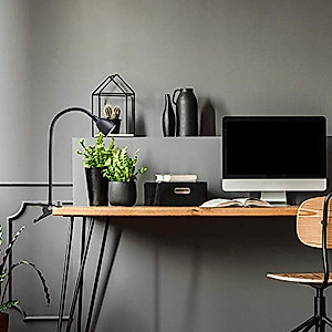 Newhouse Lighting NHCLP-OL-BK Olivia LED Clamp Light Desk Lamp with Flexible Gooseneck, 3 Brightness Levels & 3 Color Modes, Black