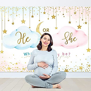 Newsely He Or She Gender Reveal Backdrop 7Wx5H Boy or Girl Pink Cloud What Will Baby Be Background Gold Stars Moon Cute Lovely Newborn Party Decorations Banner Photo Booth Props Birthday Supplies