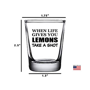 Rogue River Tactical Sarcastic Funny When Life Gives You Lemons Take a Shot Glass Gift Idea