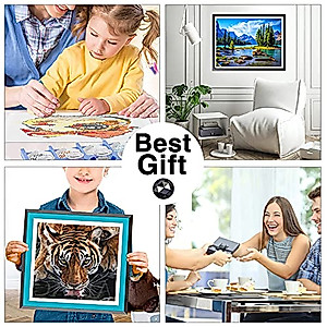 Sheehow 5D Diamond Painting Kits for Adults Angel Girl, Full Drill Diamond Art Flower Wings, Gem Pictures by Numbers Art, DIY Cross Stitch Jewel Art Rhinestone Craft for Home Wall Decor 12X16 inch