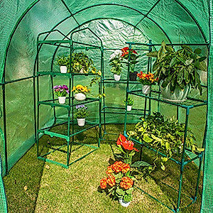Sundale Outdoor Greenhouse Large Gardening Walk in Green House, with Waterproof PE Cover and Zipper Door, Plant Green House, 116.5" x 77.2" x 74.8"