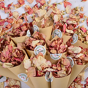 20+ Cups Mix Dried Rose Jasmine Flower Petals Biodegradable Confetti, 2 QT of Real Natural White Pink Rose for Wedding Proposal Party Valentine's Day Decor Flower Girls, Bath salt Candle Soap Making