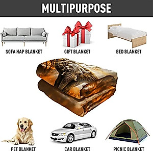 HommomH 60"x80" Orange African Elephant Blanket Soft Fluffy Fleece Throw for Women