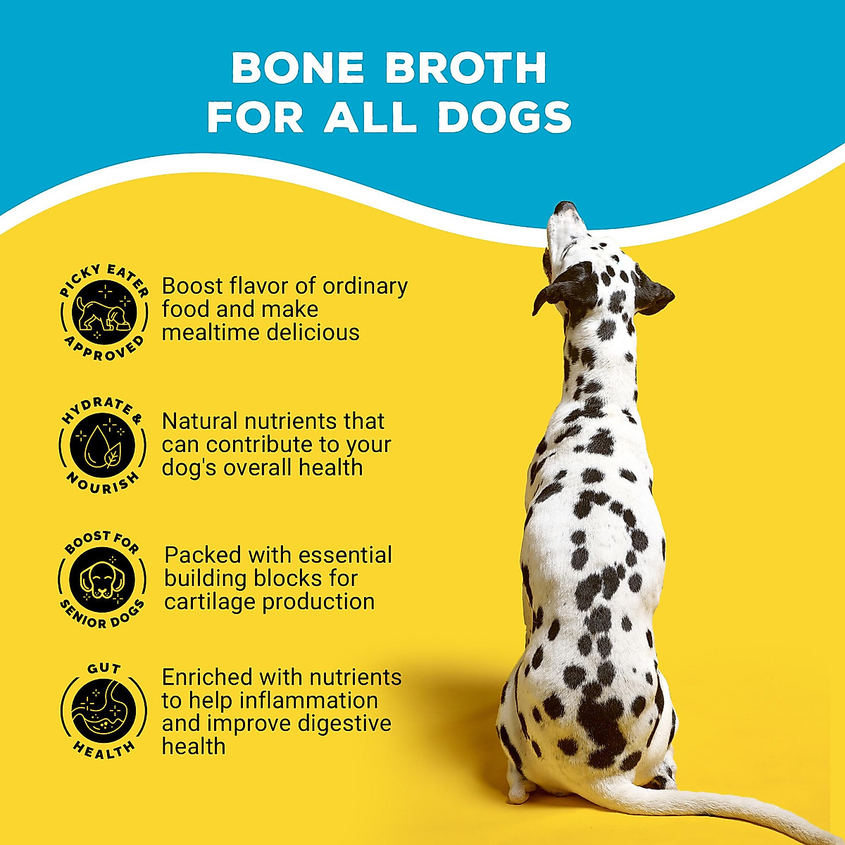Brutus Bone Broth for Dogs - Bone Broth Powder with Chondroitin Glucosamine & Turmeric - Human Grade Dog Food Toppers for Dry Food & Picky Eaters - 10 Stick (Beef)
