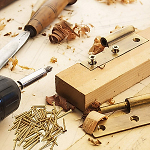 Hotop 100 Pcs Gold Screws M4 Nails and Screws for Picture Hanging Multi Purpose Wall Hardware Nails Bulk, 2 Inch,1.6 Inch,1.2 Inch in Length(Gold)