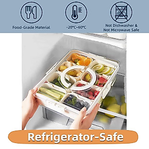 HRXFOZ Divided Serving Tray with Lid and Handle,8 Compartments Snacks Box,Snack Fruit Tray,Veggie Tray,Portable Snack Platter for Candy Fruits Nuts Snack Party Entertaining Picnic (1 PCS)