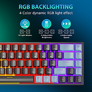 60% Percent Mechanical Gaming Keyboard, RGB Backlit 68 Keys Ultra-Compact Wired Keyboard with Detachable Type-C Cable, Full Anti-Ghost, Blue Switch Portable Mini Keyboard for Windows PC Mac Xbox Gamer