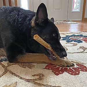 Fieldcrest Farms Nothing to Hide Natural Rawhide Alternative Large 10'' Rolls for Dogs - 3 Pack (6 Chews) Premium Grade Easily Digestible Chews - Great for Dental Health (Beef)