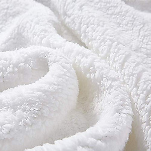 Rose Home Fashion Throw Blankets Gifts for Women Birthday Gifts for Women Sherpa Blanket Couch Blanket (50" X 60" Throw, Teal)