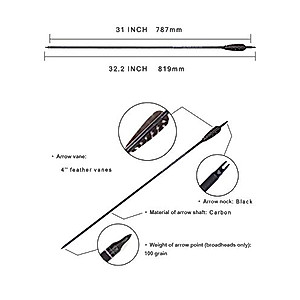 PANDARUS Archery 31-Inch Carbon Hunting Arrows, Turkey Feather Fletching with Replaceable Points, Targeting Practice Arrows Spine 500 for Recurve bow, Longbow, Traditional bow (Black flower)