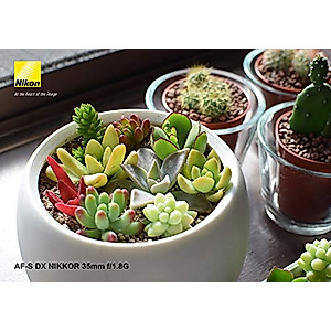 Nikon 35mm f/1.8G AF-S DX