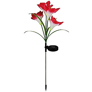 Solar Garden Flower Stake Light for Patio Lawn Pathway Outdoor, Lily Stake Lights, Spring Summer Outside Fairies Garden Accessories Decoration, Waterproof (Red)