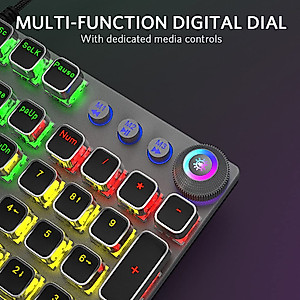 Fiodio Mechanical Gaming Keyboard, LED Rainbow Gaming Backlit, 104 Anti-ghosting Keys, Quick-Response Black Switches, Multimedia Control for PC and Desktop Computer, with Removable Hand Rest