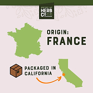 Monterey Bay Herb Co. Organic Gentian Root, Cut & Sifted | Yellow Gentian or Bitterwort | Similar to Hops | Herbal Bitters and Tea Blends (1/4 Pound)