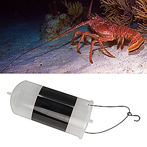 Shrimp Eggs Incubator, Shrimp Hatchery Kits Multifunctional Hatchery with Regulating Valve Live Baby brine Shrimp net Feeder and storager for Fish