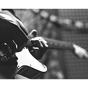 D'Andrea PRO-354 Pro Plec, Small Round, Teardrop 12-Piece Shell, 1.5mm