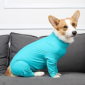 Forthcan Dog Recovery Suit Anxiety Calming Shirt for Dog E-Collar Alternative Pet Wounds Protector Medical Surgical Clothes Prevent Shedding Hair Jumpsuits Suit for Home, Car, Travel (XXXL, Blue)