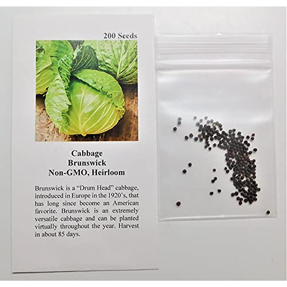 David's Garden Seeds Cabbage Brunswick FBA-5846 (Green) 50 Non-GMO, Heirloom Seeds