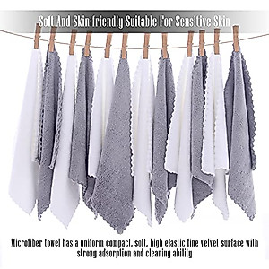 TENSTARS 12 Pack Premium Washcloths Set - Quick Drying- Soft Microfiber Coral Velvet Highly Absorbent Wash Clothes - Multipurpose Use as Bath, Spa, Facial, Fingertip Towel (Grey and White)