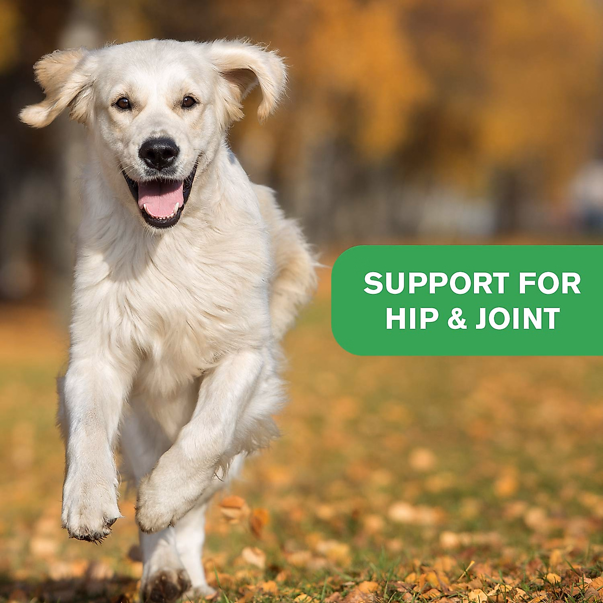 Organic Hemp Oil for Pets - Herbal Drops - Separation Anxiety and Pain Relief - Stress Support - Calming Effect - Supports Hip & Joint Health - Reduce Pain and Inflammation - 100% Natural