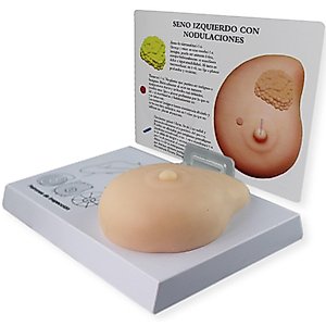 Silicone Breast Model Manikins Medical Teaching Soft Silicone Breast Model Pathological Single Breast Self-Examination Model with Benign Tumor Foreign Body