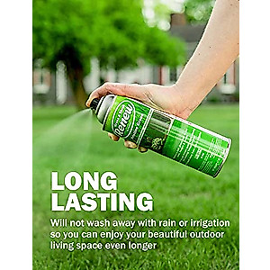 Seymour 20-602 Grass and Shrub Renew Spray Paint, Pristine Green (17 oz.)