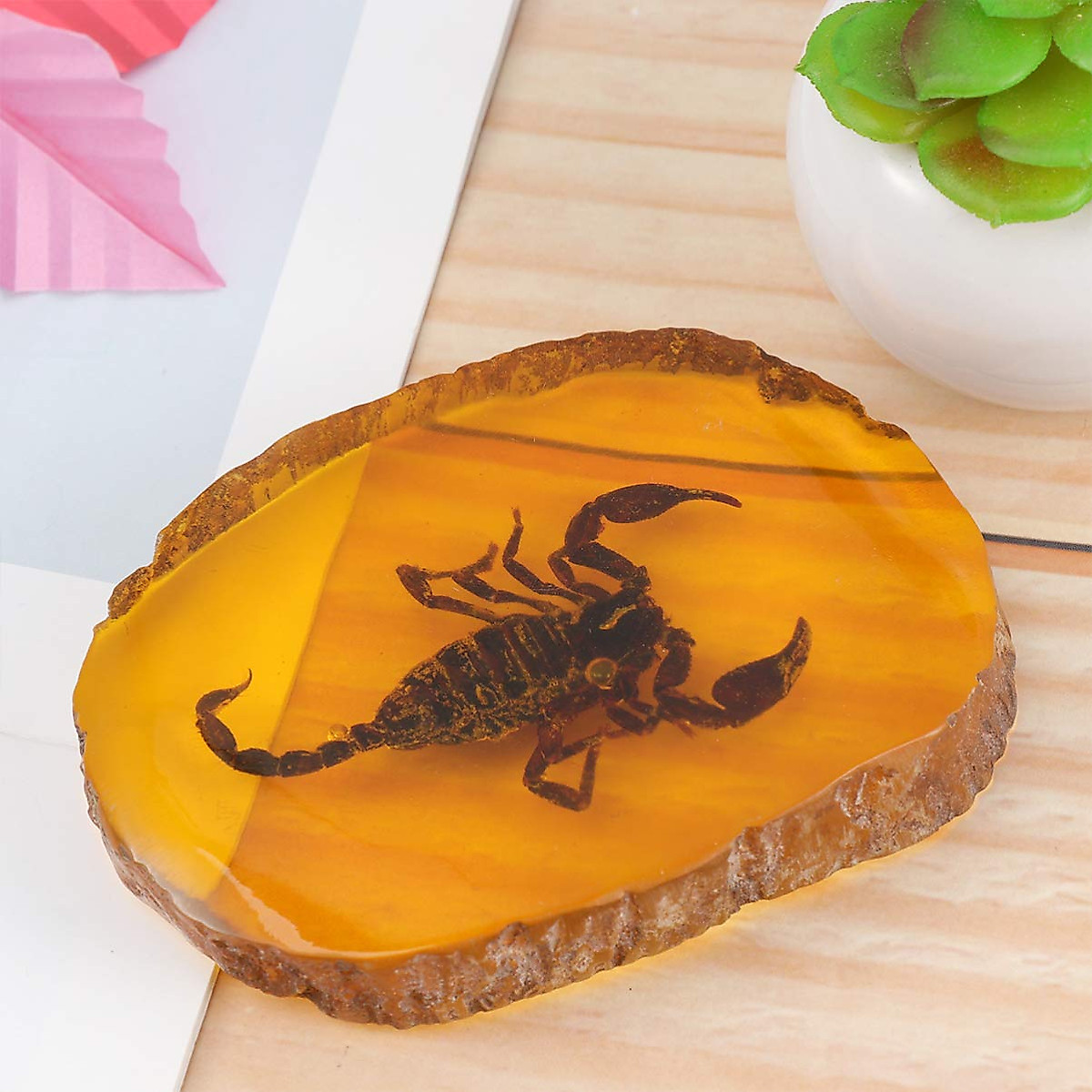 Garneck Amber Fossil Insect,Artificial Amber Insect Specimen Pendant Butterfly Scorpions Insects Amber Stone Ornament for Collection(Scorpion)