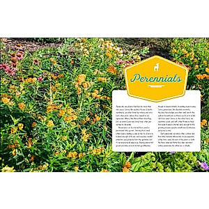 Deer-Resistant Native Plants for the Northeast