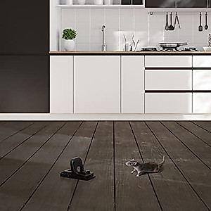 BLACK+DECKER Mouse Trap & Mouse Traps Indoor for Home- Rat Trap Indoor & Outdoor- Instantly Kill Rodent Snap Trap- Touch Free & Reusable, 6 Pack