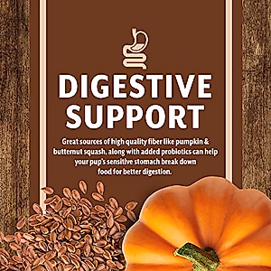 Earthborn Holistic Venture Limited Ingredient Diet Smoked Bison and Pumpkin Dry Dog Food