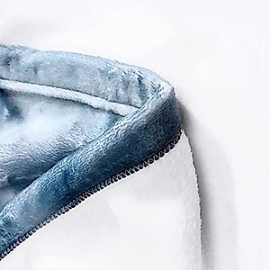 SXCHEN Blanket Sofa Bed Throw Lightweight Cozy Plush Serious Hawk White Head Eagle 60"x80"