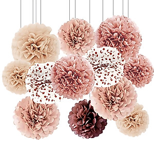 XIKSXITN 12 pc Rose Gold Gradient Tissue Paper Pom poms-Hanging Gold Dot White Paper Pom Poms Paper Flowers Ball for Party Decorative(8&10&12 inch)