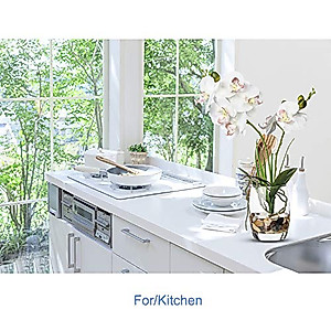 Jusdreen Artificial Flower Bonsai with Glass Vase Vivid Orchid Flowers Arrangement Phalaenopsis Flowers Pot for Home Office Décor Table Centerpiece House Decorations(Glass Vase/White Orchid)