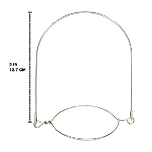 Sunshine Mason Co. Pint Sized Glass Mason Jars with Hanger Handles Set of 12