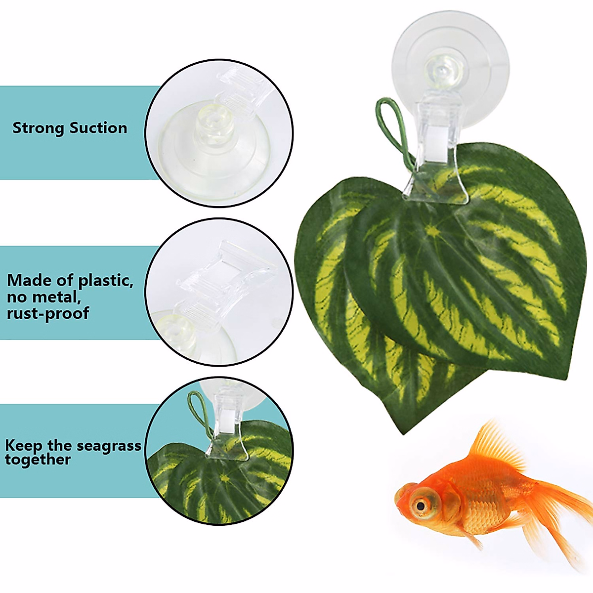 SLSON Fishes Veggie Seaweed Plant Suction Cup Clip Feeding Tool Feed Holder Aquarium Accessories for Fish Tank Fish Feeder Clips (4Pack Transparent)