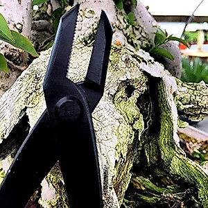 Tinyroots Heavy Duty Carbon Steel Jin Pliers. Perfect for Jin, and Also Great for Applying or Removing Bonsai Wire. 210 mm…