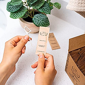 Bleeker and Rowe Biodegradable Individually Wrapped Floss Picks - Eco Friendly Flossers 150 Pack (PTFE Floss)